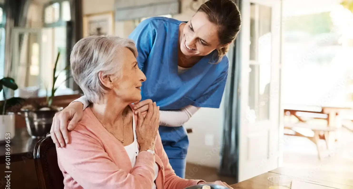 Kami Vision Knowledge Hub